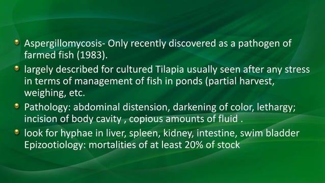 fungal disease in fishes | PPTX | Fish and Aquariums | Pets