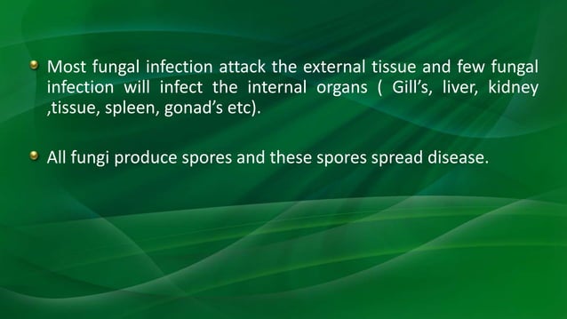 fungal disease in fishes | PPTX | Fish and Aquariums | Pets