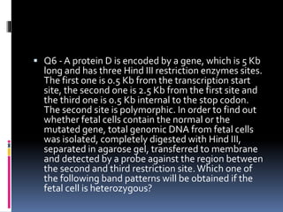 amanji project[1].pptx