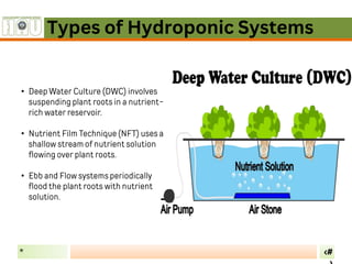 Hydropnics in Plant Physiology 102. .pdf