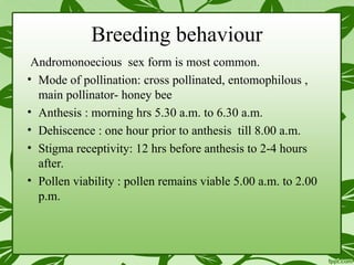 BOTANICAL CHARACTERS AND POLLINATION BEHAVIOUR IN MUSKMELON.ppt