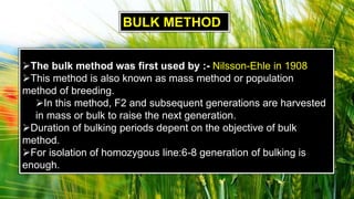 GENETIC BESIS OF BREEDING IN SELF-POLLINATED CROPS pptx. | PPT