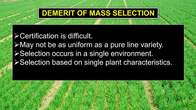 Genetic Besis Of Breeding In Self Pollinated Crops Pptx Ppt