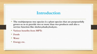 Soil science bsc agriculture second yearPresentation soil final.pptx