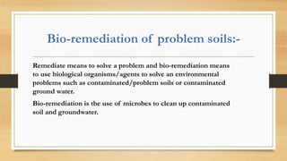 Soil science bsc agriculture second yearPresentation soil final.pptx