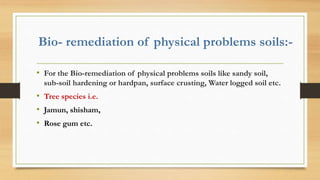Soil science bsc agriculture second yearPresentation soil final.pptx