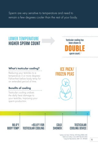 A Man’s Guide to Reproductive Health - Male Fertility Test Kit from ...