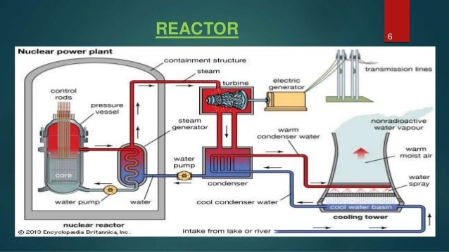 nuclear powerplant ppt