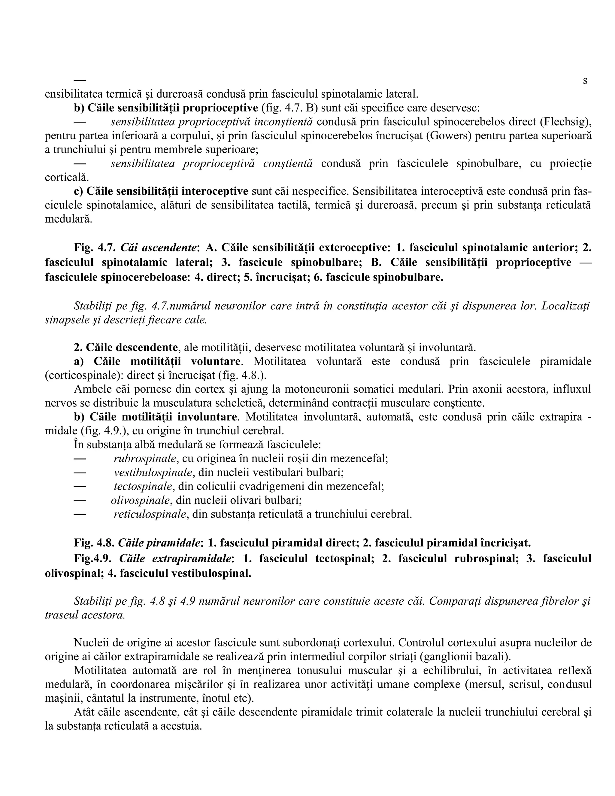 A manual anatomie | DOC