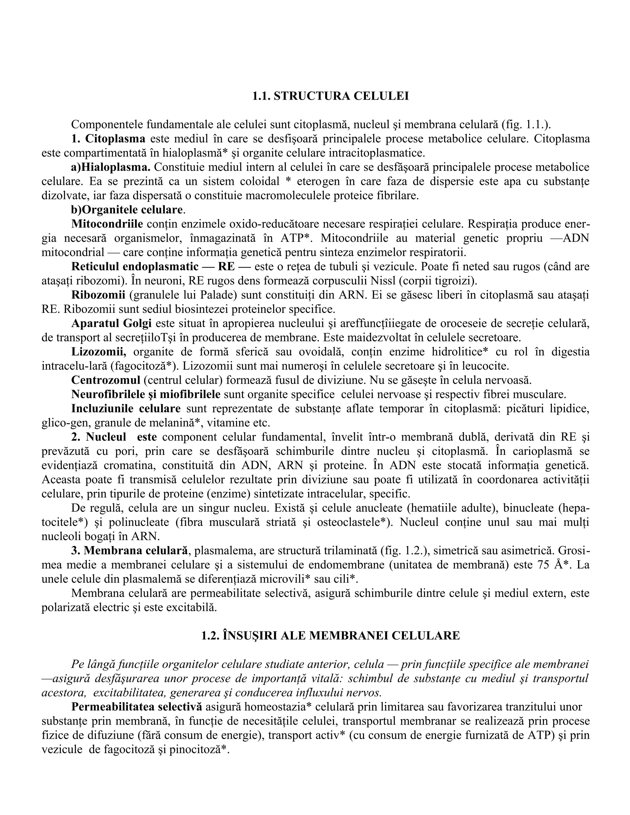 A manual anatomie | DOC