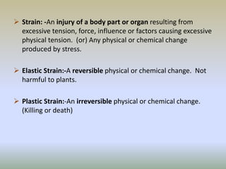 Amar 504 pphy edited | PPT