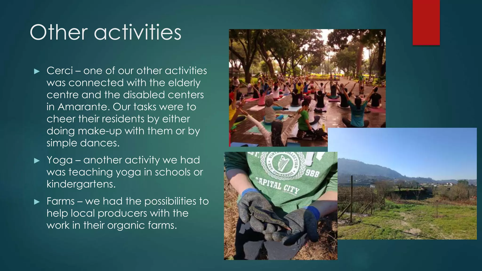 Amarante project final.pptx