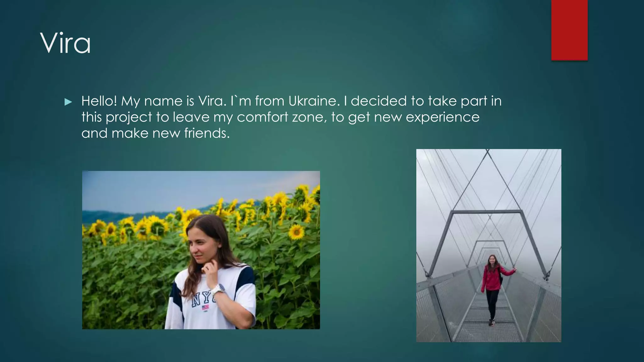 Amarante project final.pptx