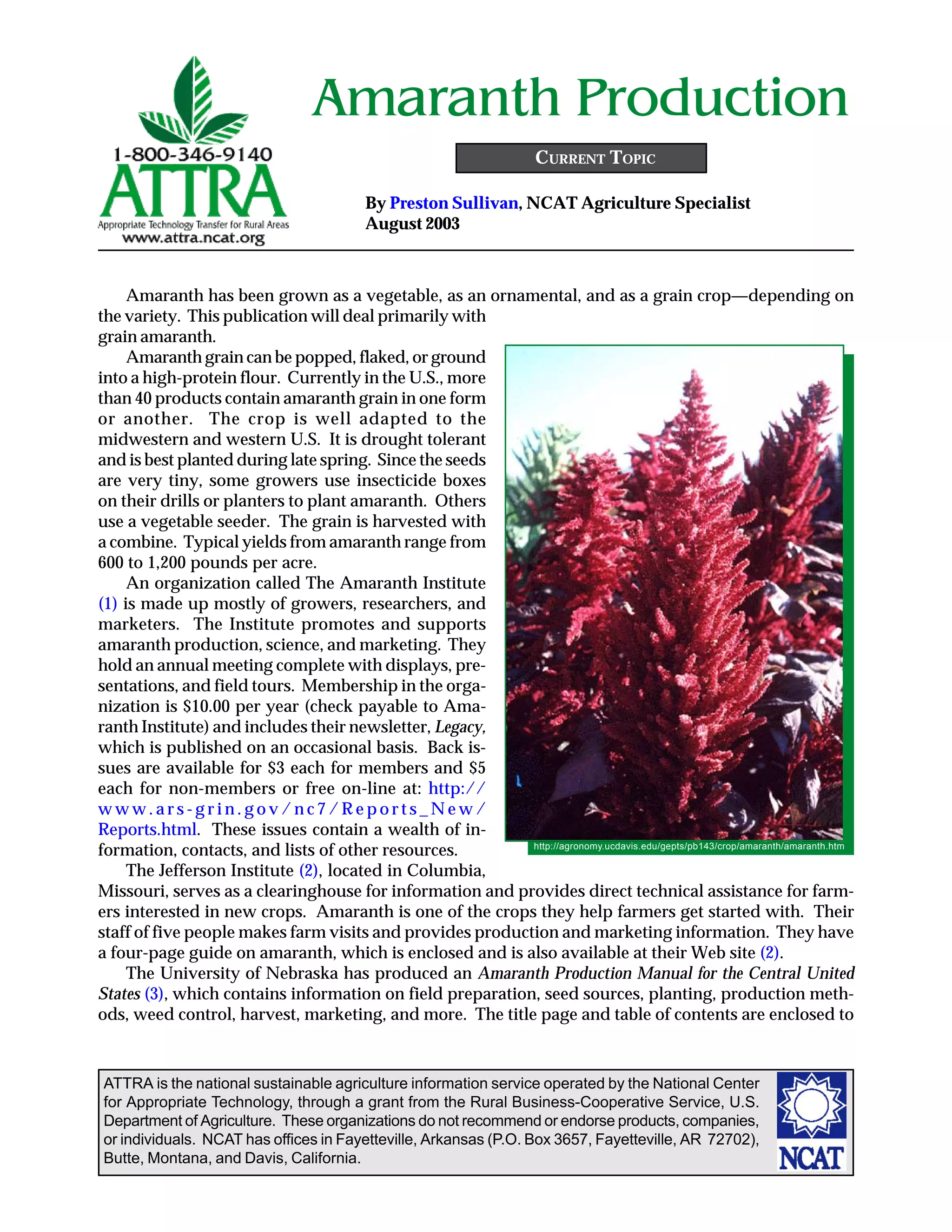 Amaranth Production | PDF