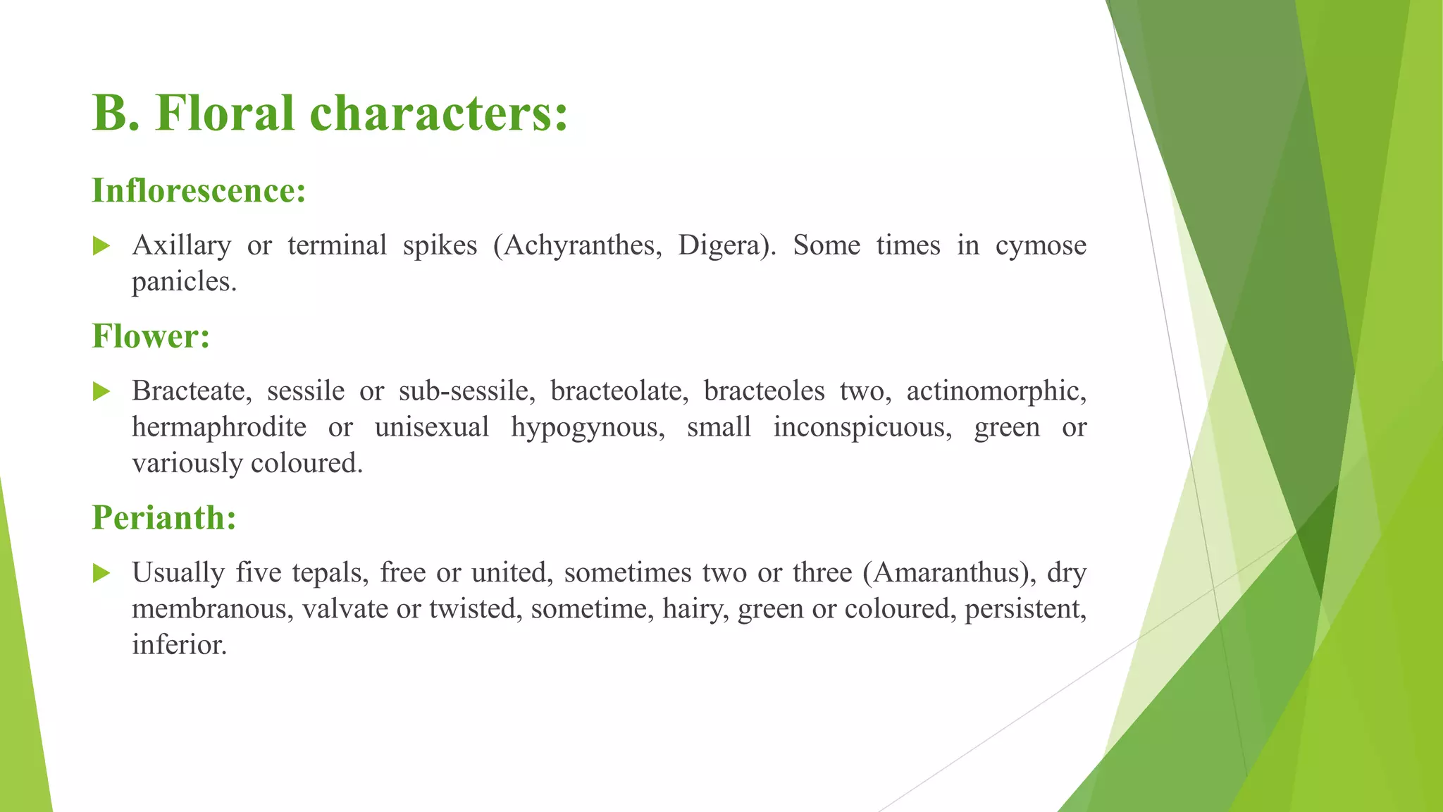 amaranthaceae-210707061148.pdf