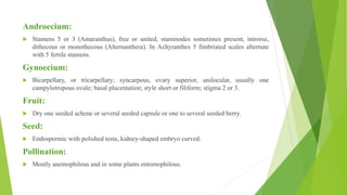amaranthaceae-210707061148.pdf