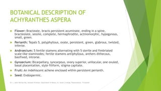 AMARANTHACEAE_FAMILY_ TAXONOMY OF ANGOSPERMS | PDF