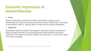 AMARANTHACEAE_FAMILY_ TAXONOMY OF ANGOSPERMS | PDF