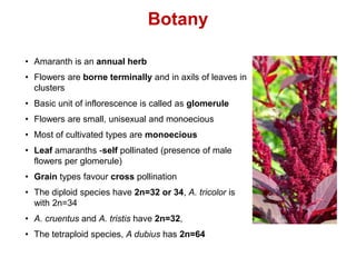 Amaranthus | PPTX