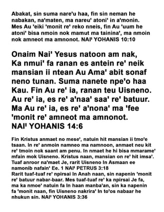 Amarasi Gospel Tract | PDF