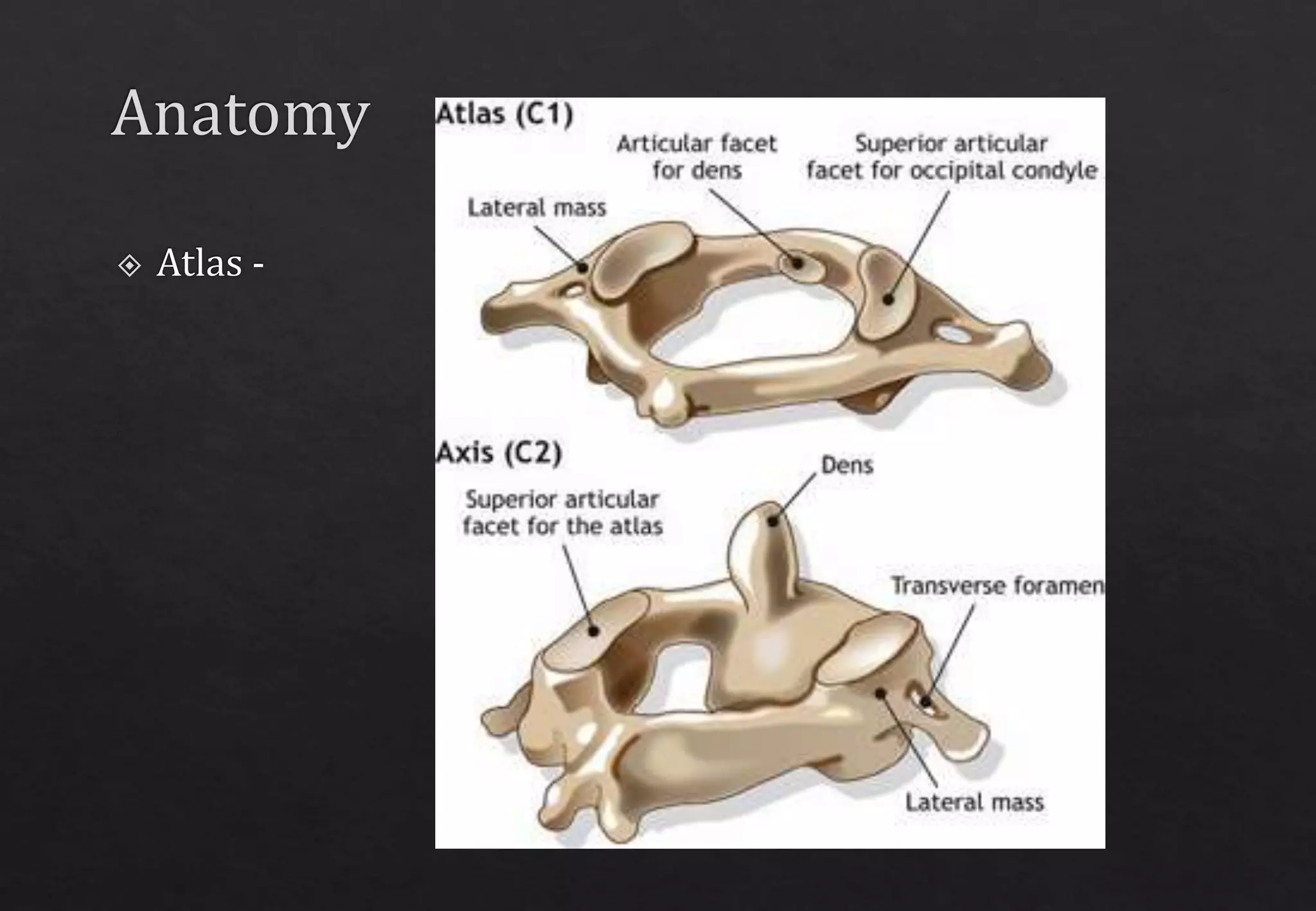cv junction anamolies | PPT