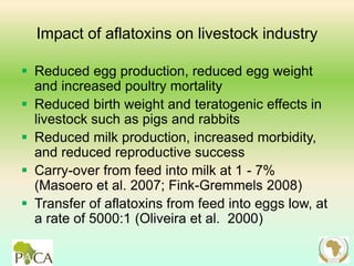 The triple menace of Aflotoxins: Impacts on Agriculture, Trade and ...