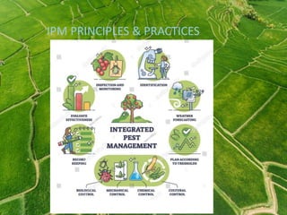 AMAR INtegrated pest management power point | PPT