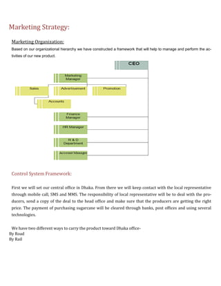 A marketing plan of apple sap by reflection | PDF