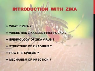 zika virus | PPTX