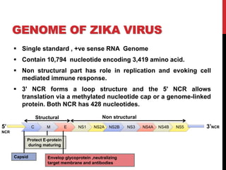 zika virus | PPTX