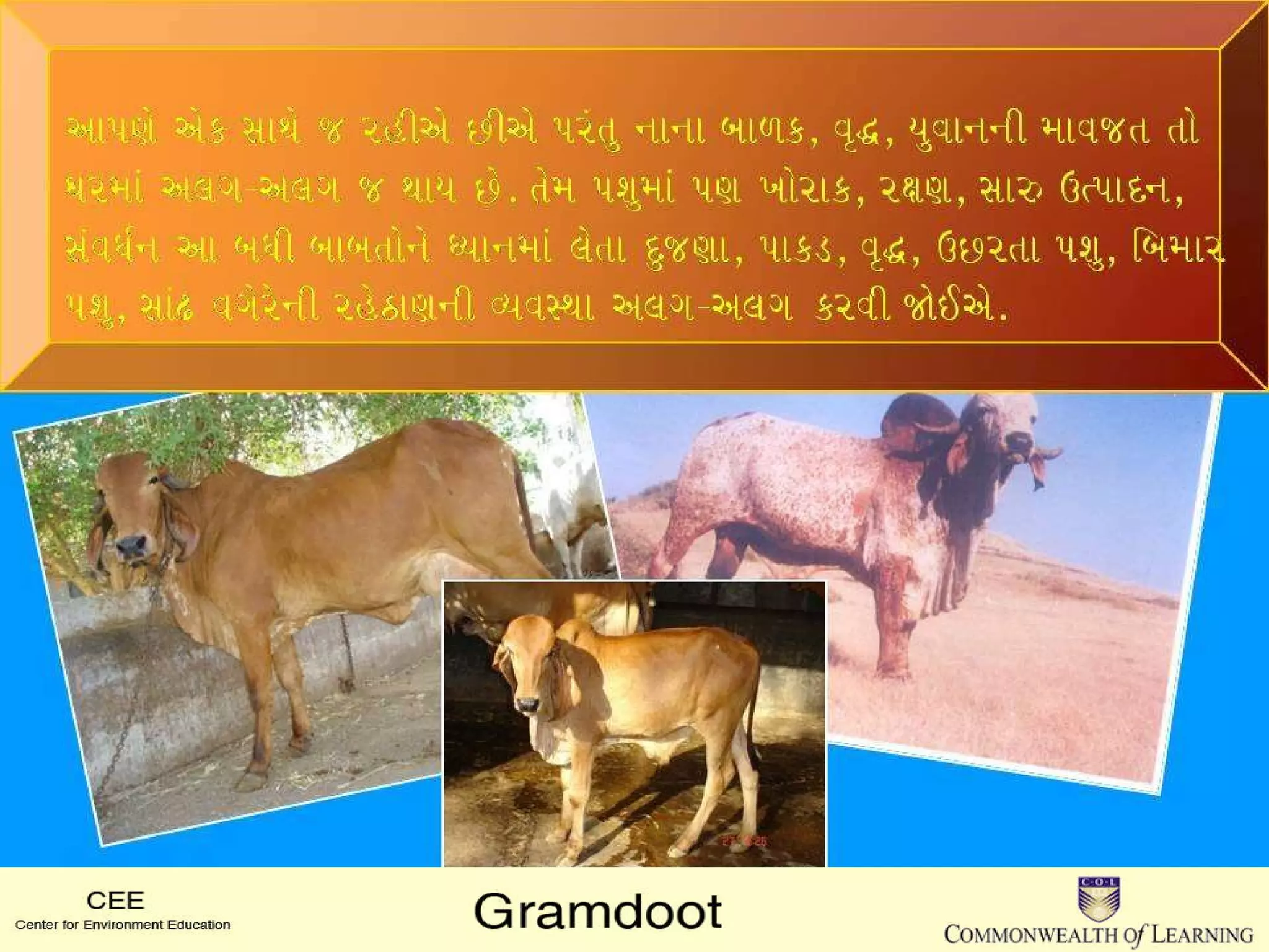 Amaru ghar, pani, khorak | PPT