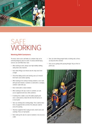 Masters Guide to Container Securing | PDF