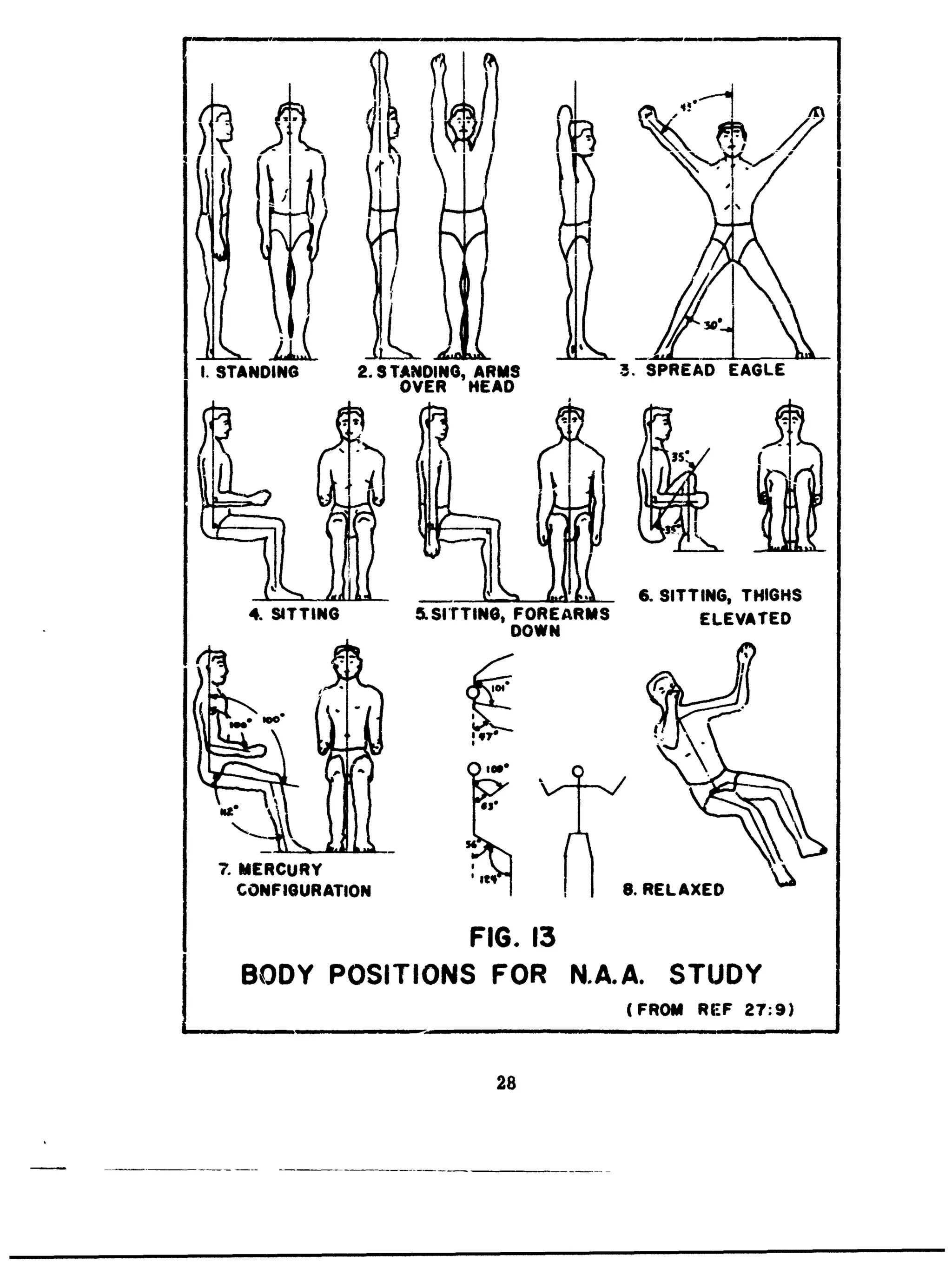 A mathematical model of the human body | PDF