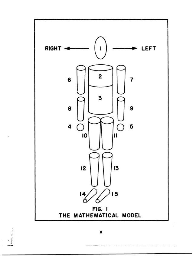 A mathematical model of the human body | PDF