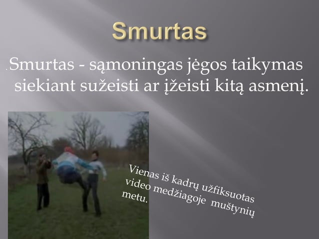 Vilkaviskio miesto problemos | PPT