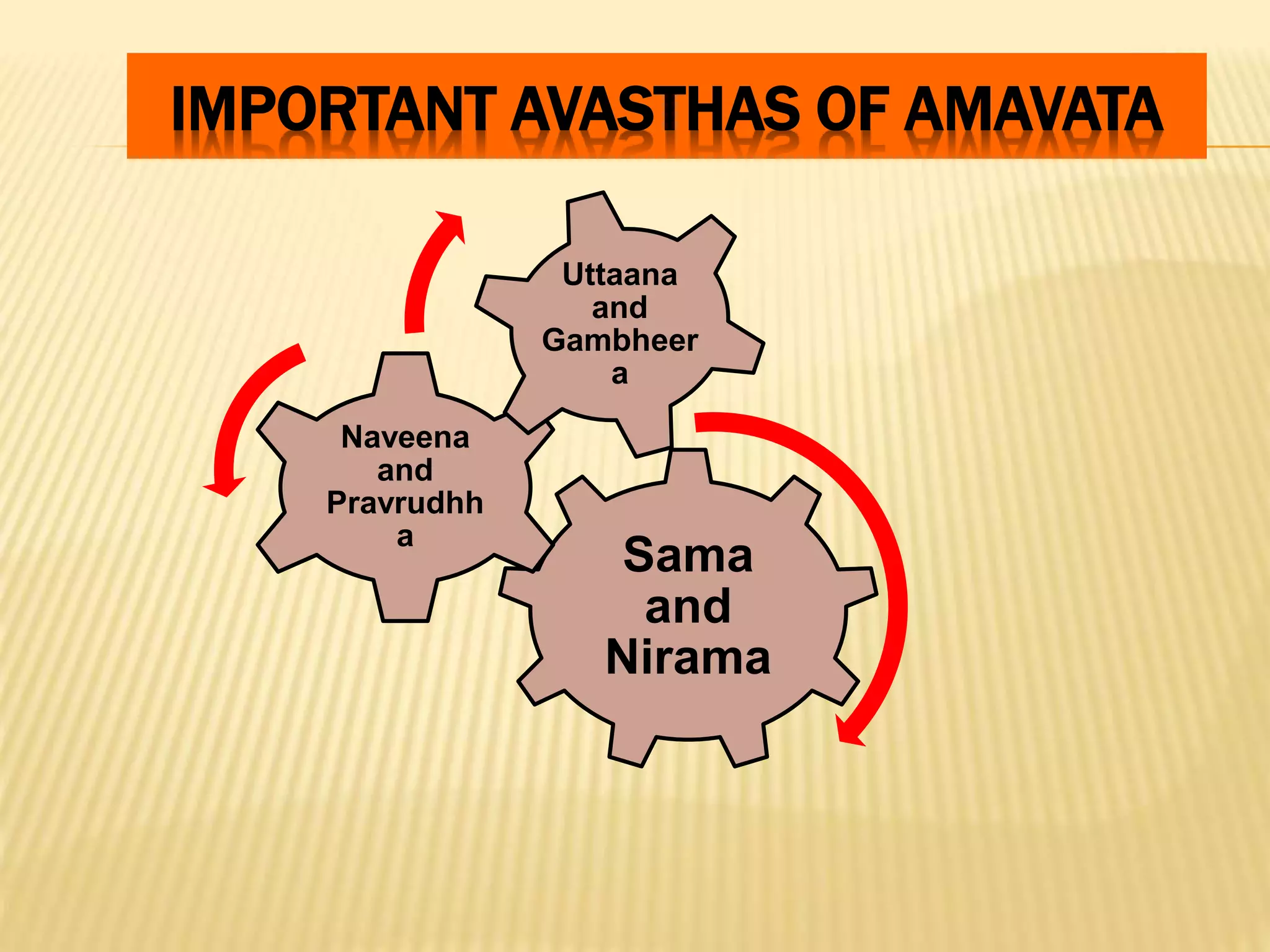 Amavata : Case Study | PPTX
