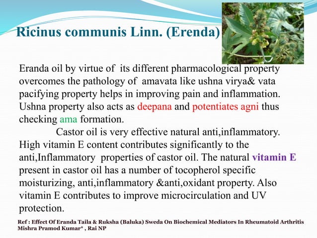 Amavata, rheumatiod arthritis, amavata treatment, | PPTX | Herbs and ...