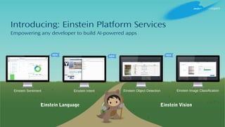 The Salesforce Einstein Product Team: Ask Us Anything! | PPT | Computer Software and ...
