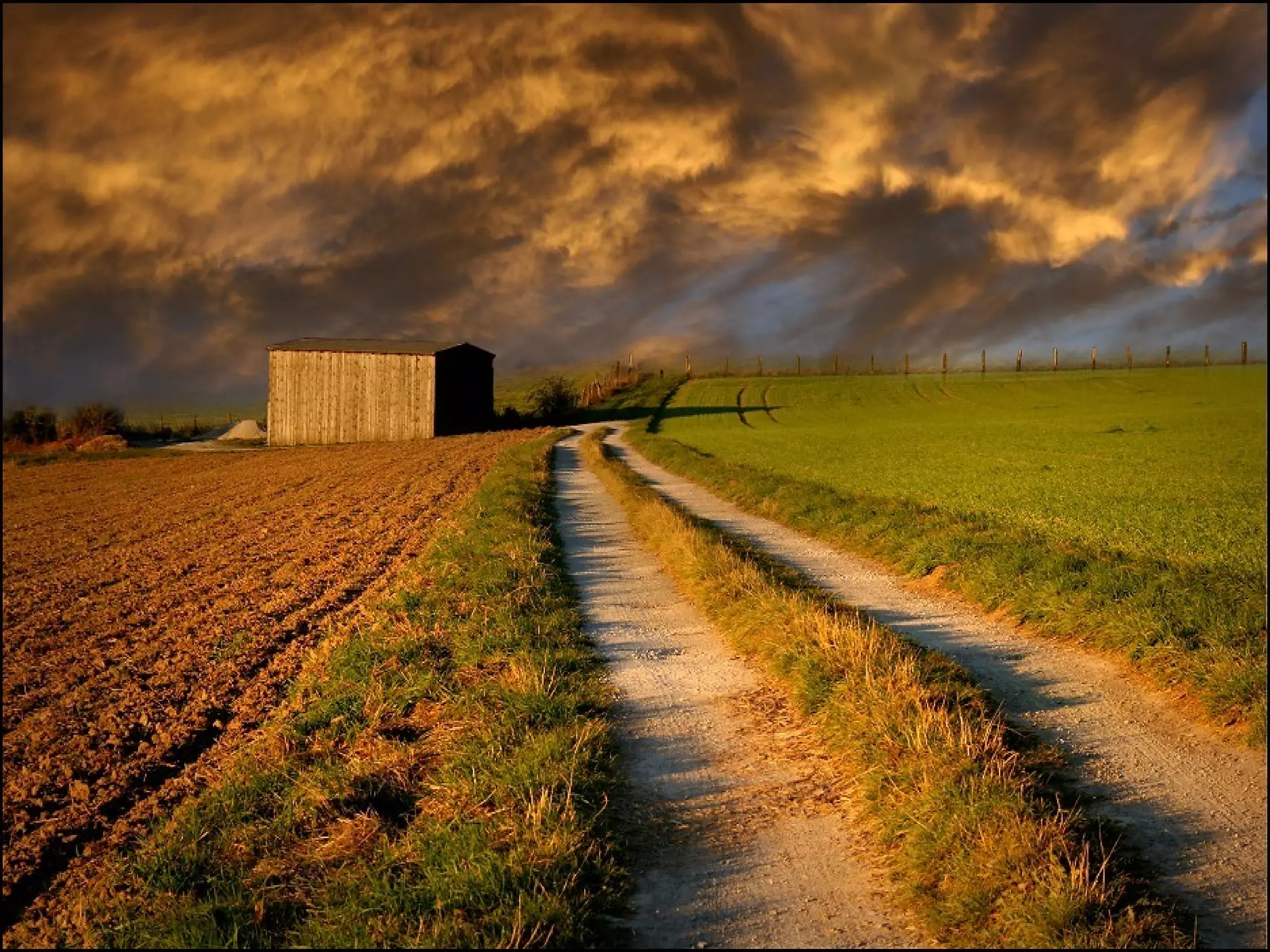 Amazing Corn Fields | PPS