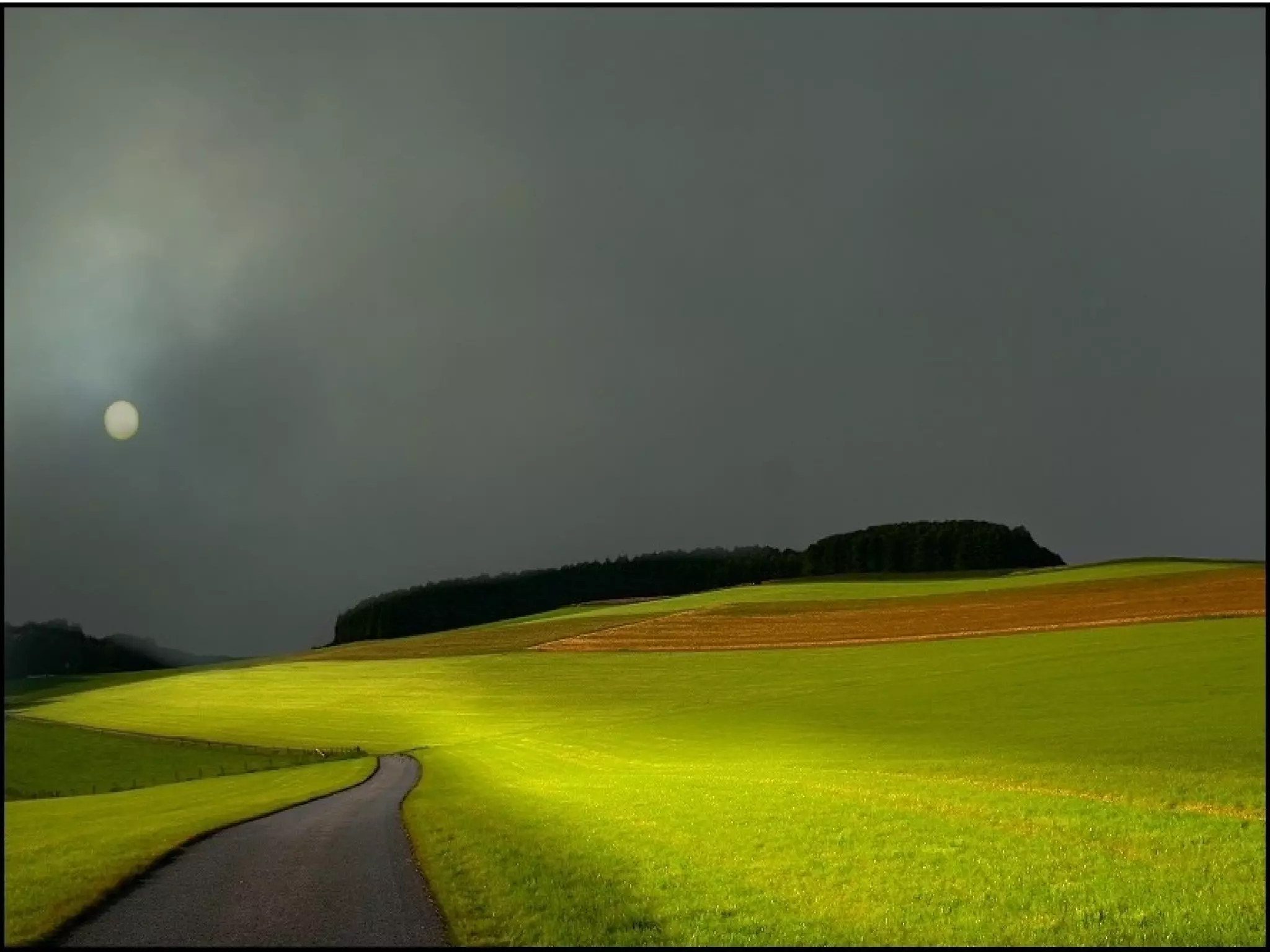 Amazing Corn Fields | PPS