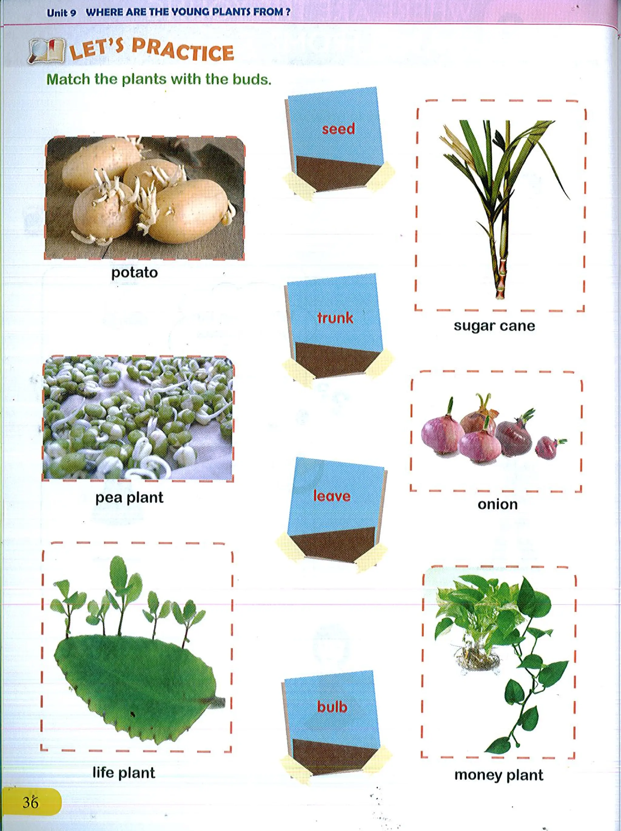 Amazing-Science-5.pdf