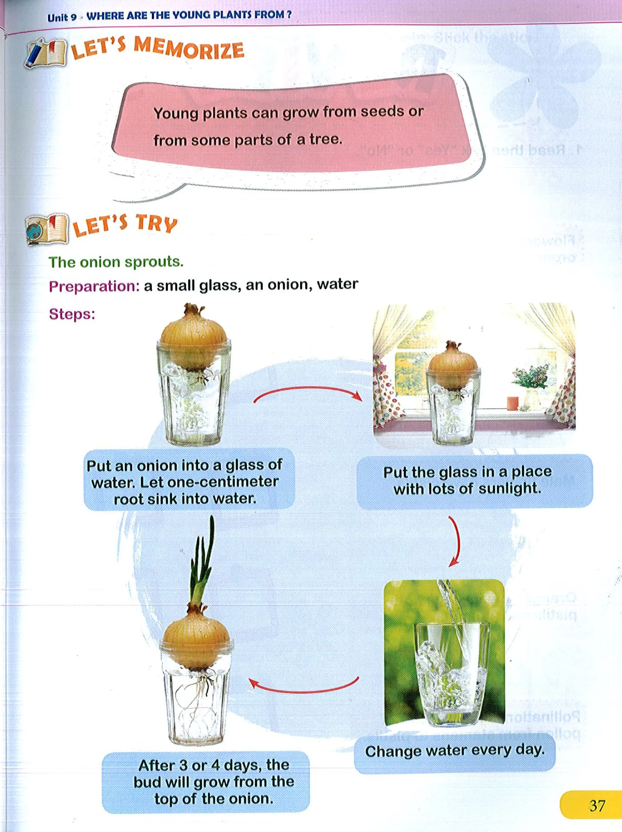 Amazing-Science-5.pdf