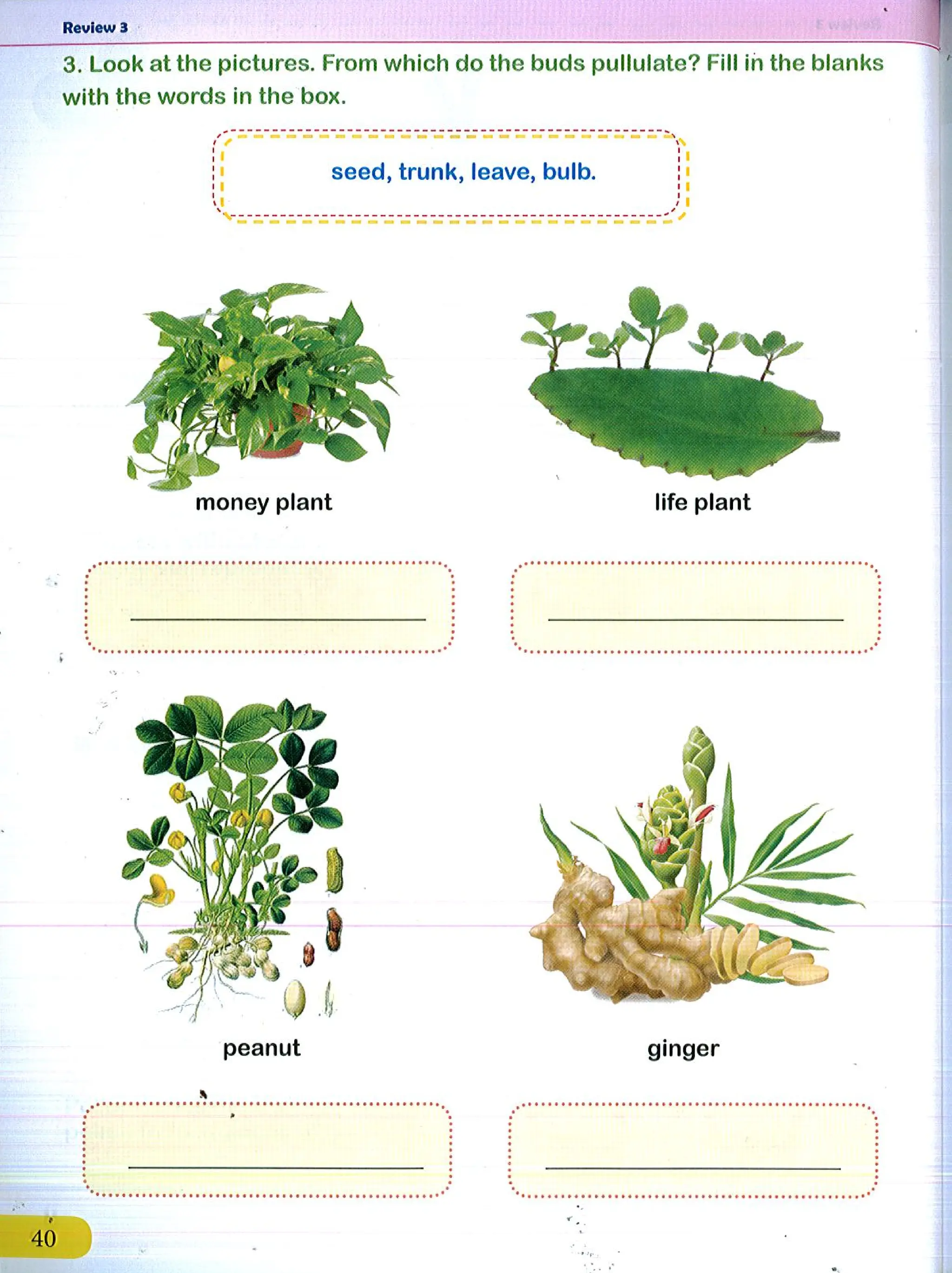 Amazing-Science-5.pdf