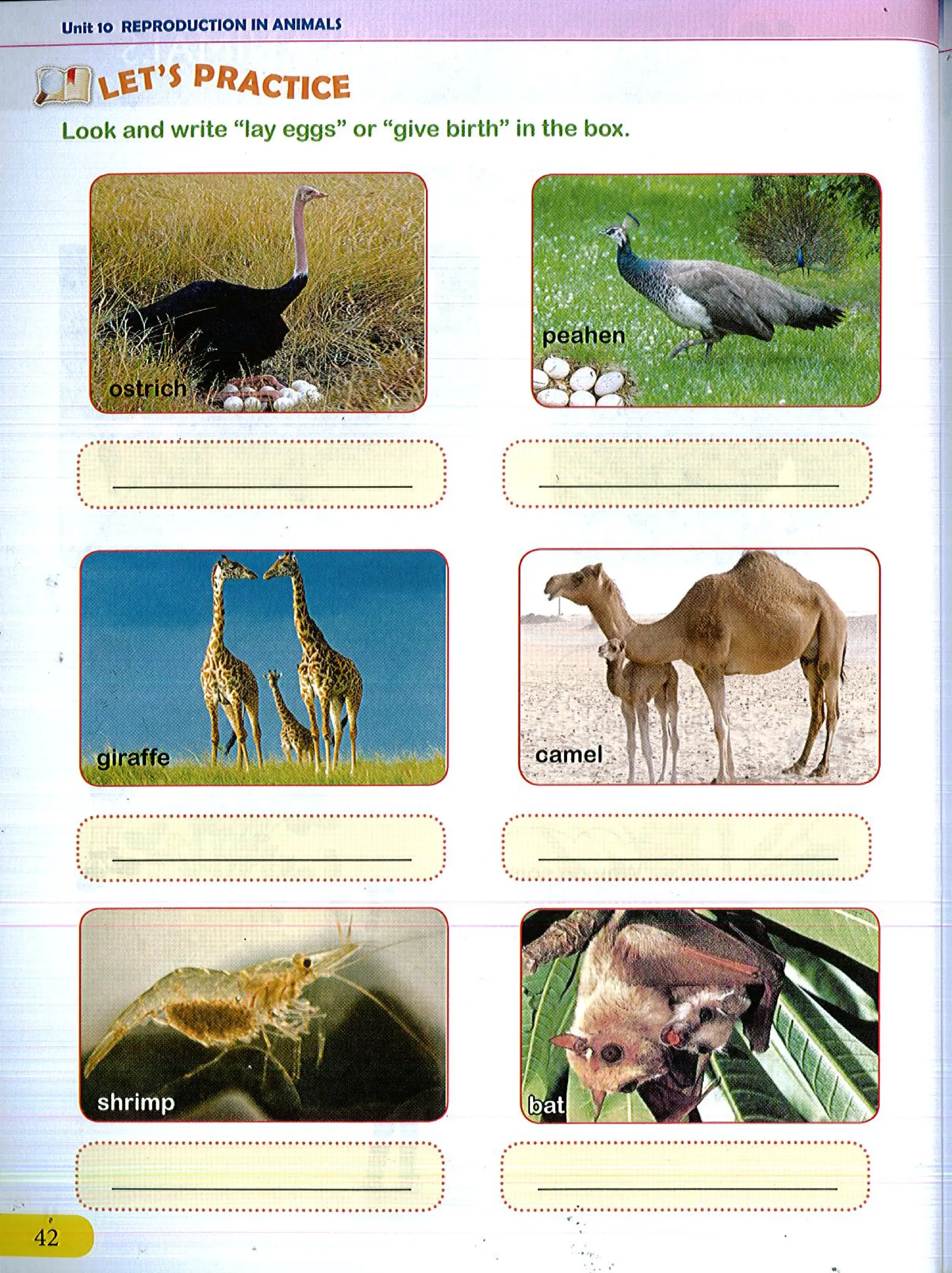 Amazing-Science-5.pdf