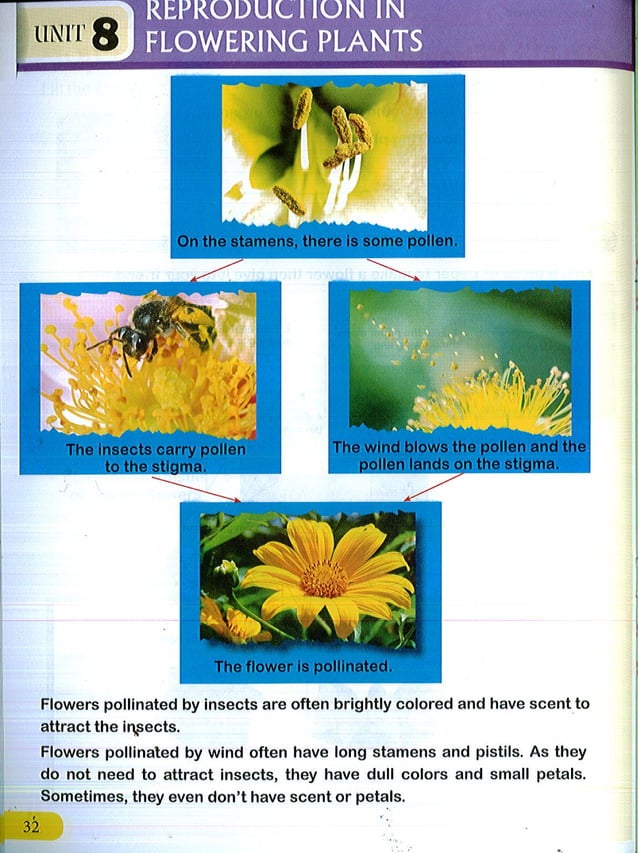 Amazing-Science-5.pdf