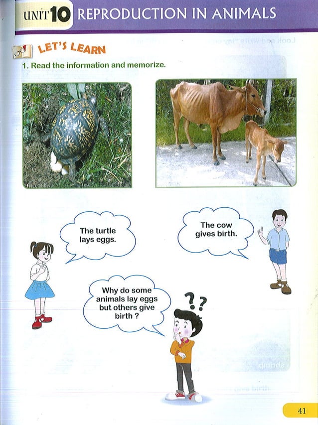 Amazing-Science-5.pdf