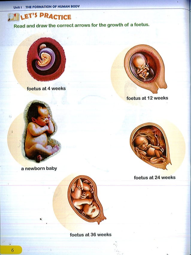 Amazing-Science-5.pdf