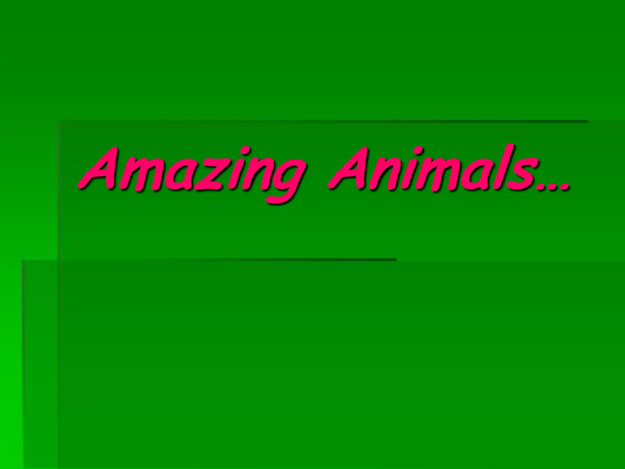Amazing animals | PPTX