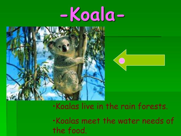 Amazing animals | PPTX