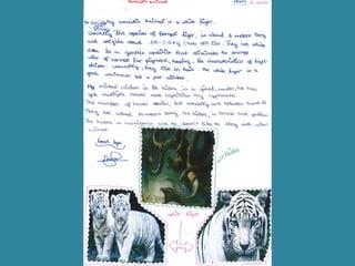 Amazing animals | PDF